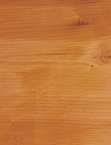 Sashco Capture Log Stain, 5 Gallon, 11 Colors - Interior & Exterior Log ...