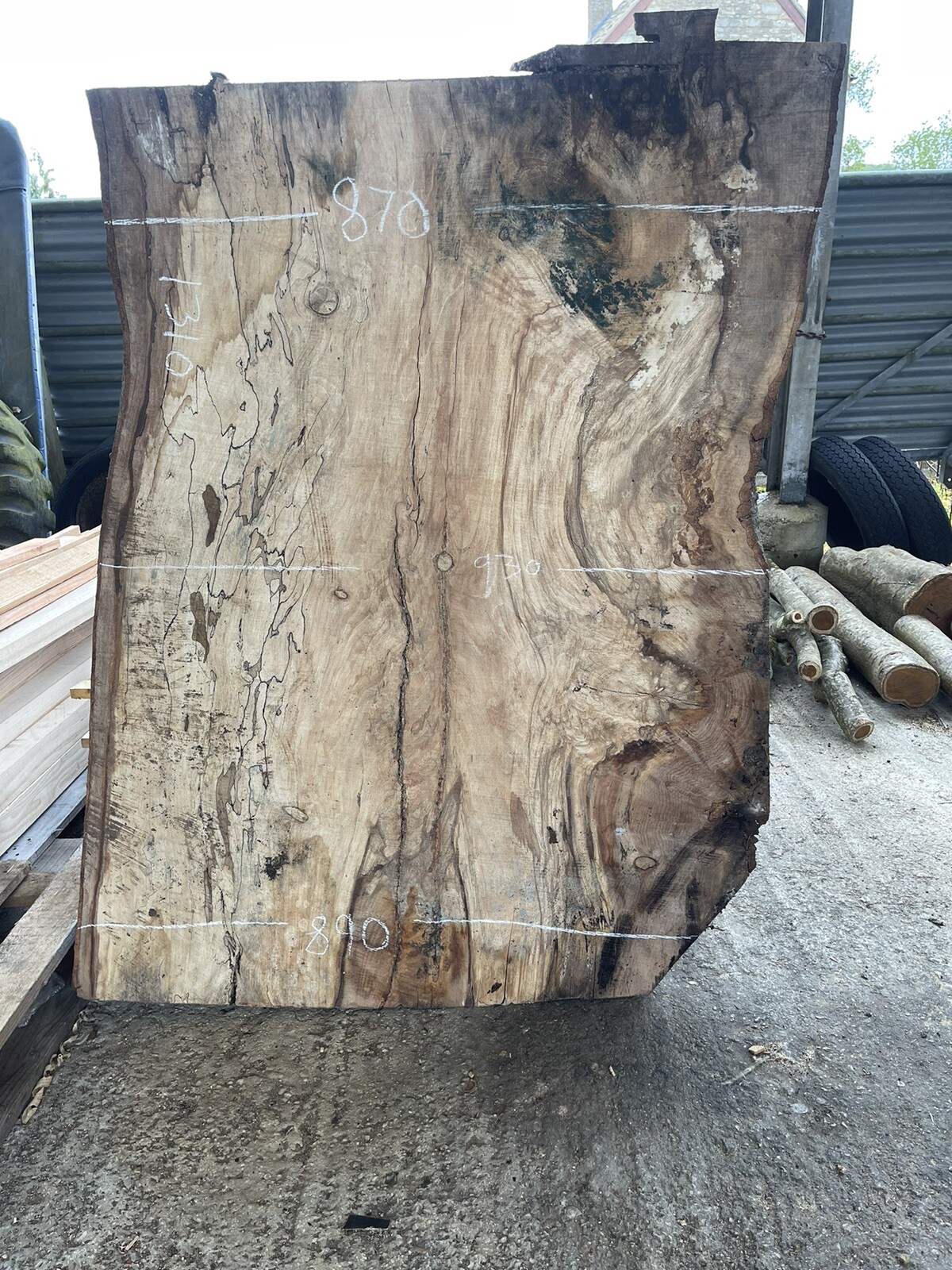 Live edge spalted beech wood slab #A, hardwood board, waney edge slab ...