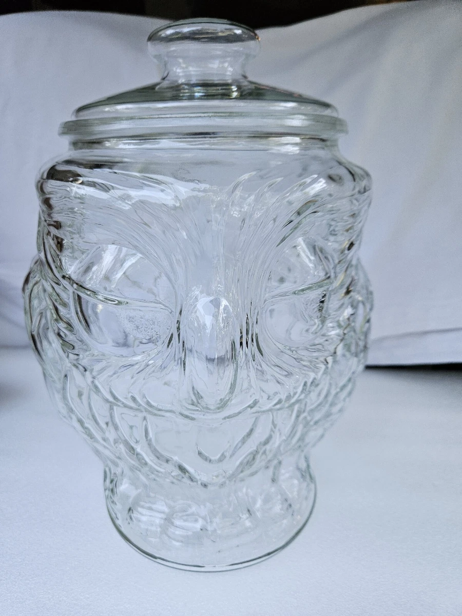 Vintage Clear Glass Owl Jar