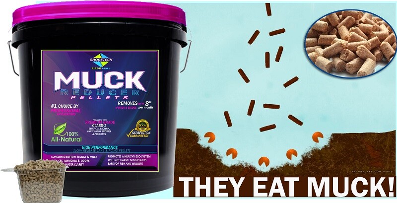 Pond & Lake MUCK remover Pellets sludge reducer Bacteria Enzymes ...