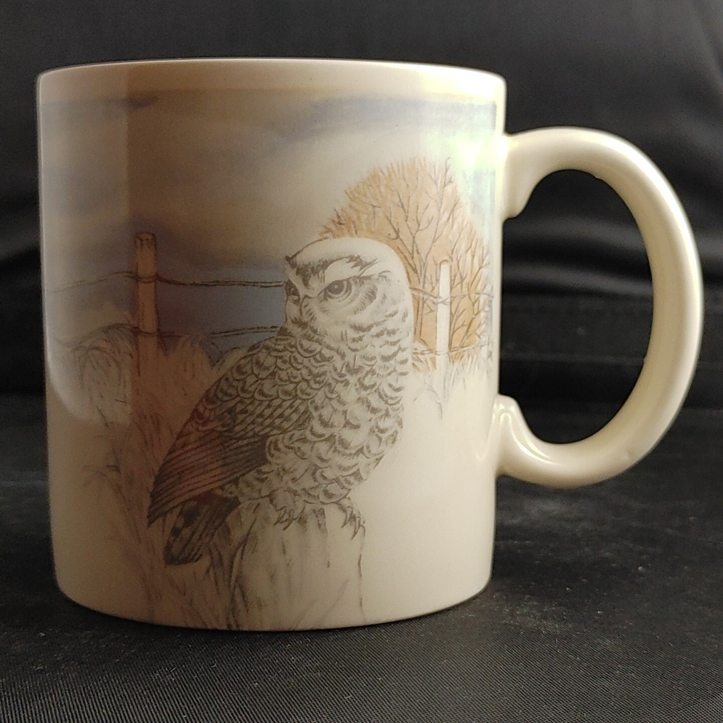 Vtg OTAGIRI Owl Tree Coffee Tea Mug Cup Handcrafted Japan Gibson ...