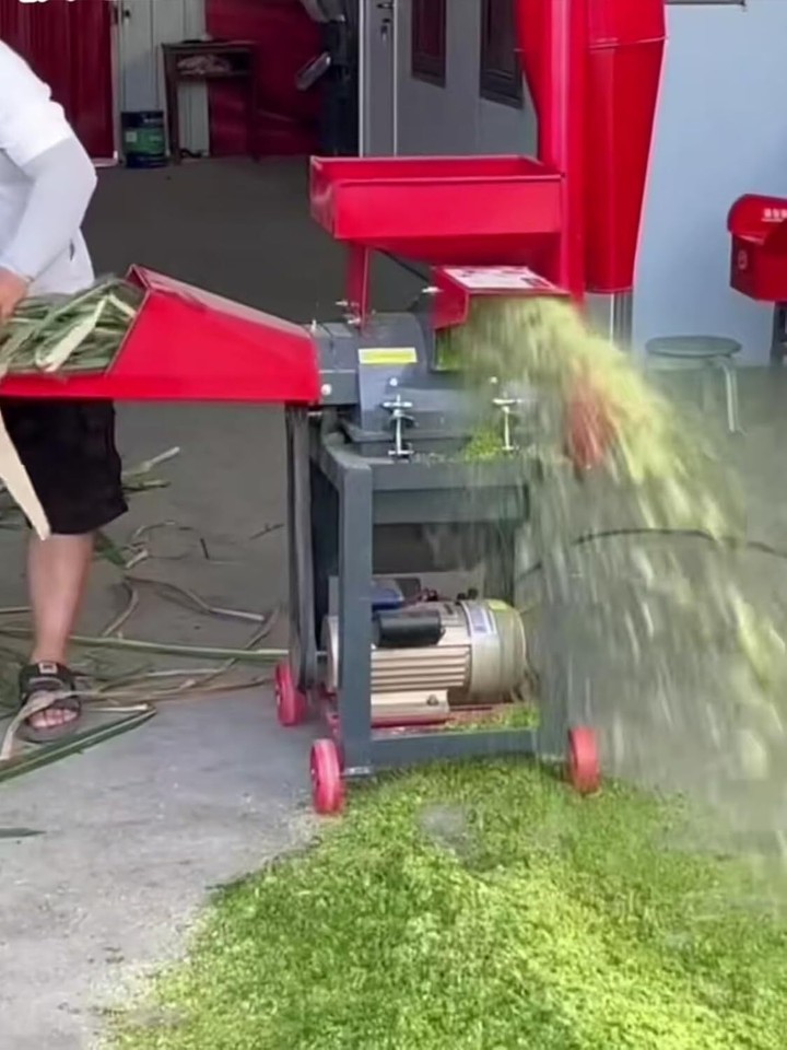 5.5KW Hay Chopper Forager 440lb/H Hay Cutter 220V for Farm Agricultural ...