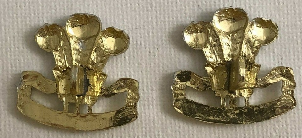 Pembroke Yeomanry Anodised Staybrite collar badge pair | eBay