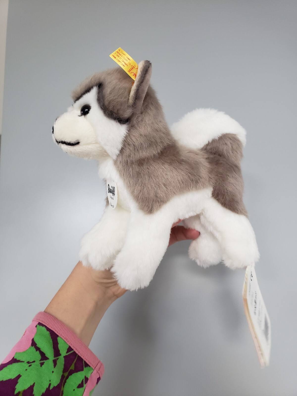 Steiff 104985 Bernie The Grey and White Husky 17cm for sale online | eBay