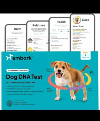 Embark Breed & Health Kit - Dog DNA Test - Discover Breed, Ancestry ...