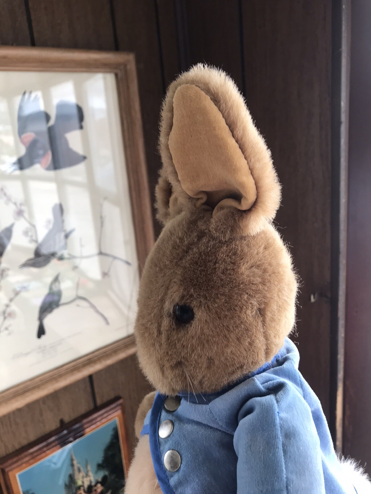 Vintage Peter Rabbit Eden Toys 14" Plush Bunny Beatrix Potter | eBay