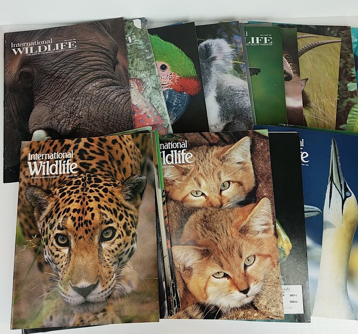 28 Vintage INTERNATIONAL WILDLIFE Magazines 1990-1995 Nineties 90s | eBay