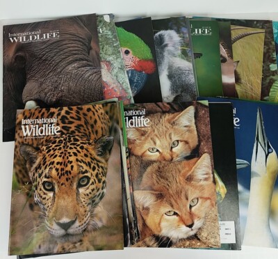 28 Vintage INTERNATIONAL WILDLIFE Magazines 1990-1995 Nineties 90s | eBay