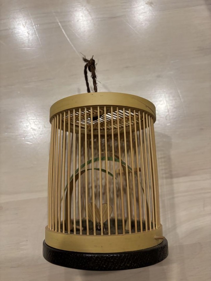 Japan Zenrinbo Bamboo Insect Cage with Bell Cricket Ornament, Handmade ...