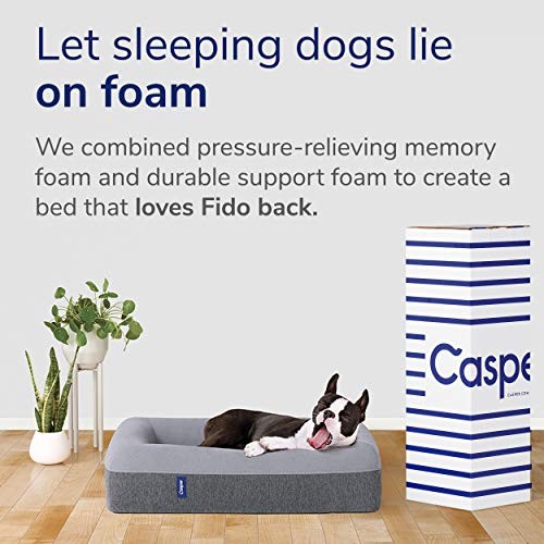 Casper Dog Bed Small Sand Standard Packaging | eBay