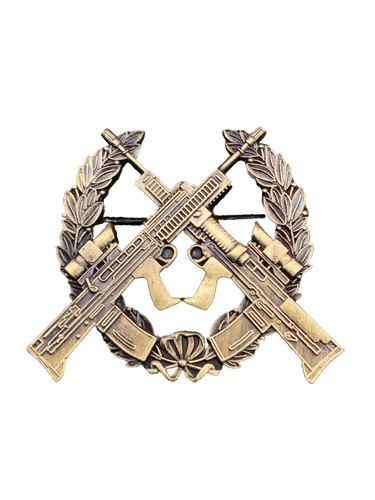 Issue British Army SA80 Metal Shooting Badge, Military Marksmanship ...
