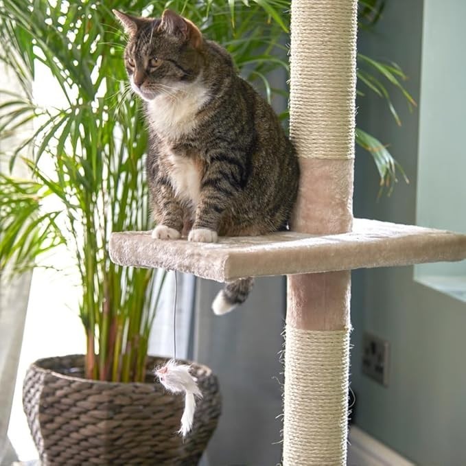 Runesol Floor to Ceiling Beige Cat Tree, Adjustable 245–288cm Cat Tower ...