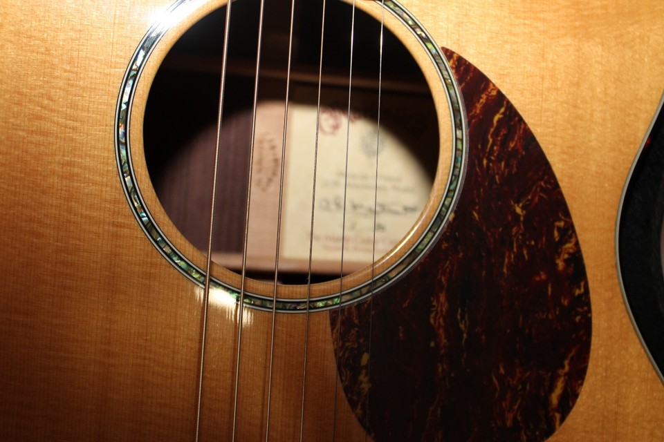 2003 Martin Custom Musician's Friend 20th Anniversary Special Edition 1 ...