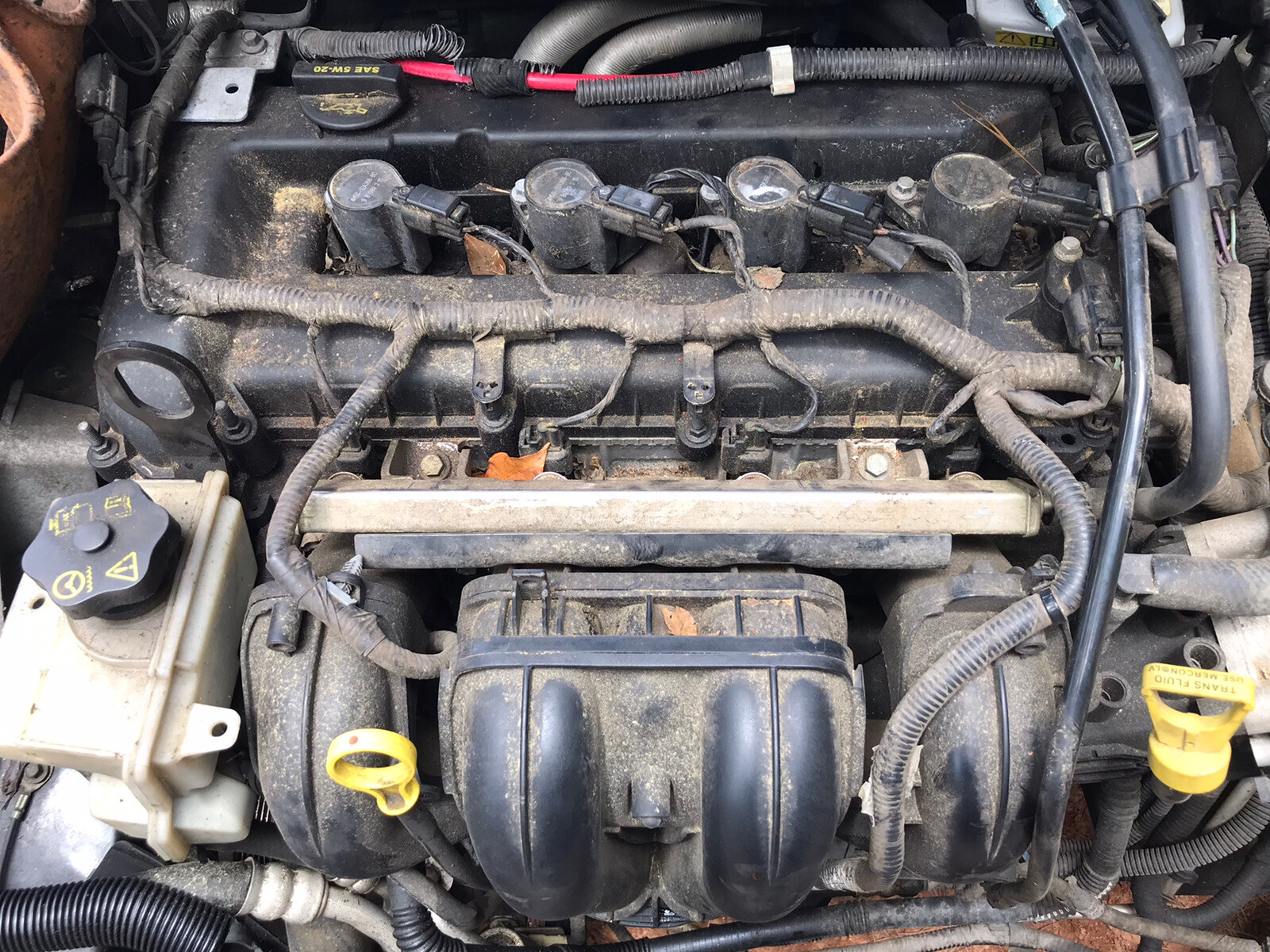 2008-2010 FORD FOCUS Engine 2.0L VIN N 8th digit DOHC (PZEV) 08 09 10 ...