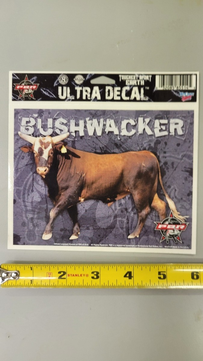 Bushwacker Bull Owner Meet Dennis Davis, The Bull Whisperer ABC7 New
