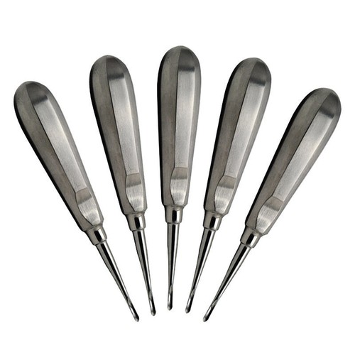 5x Dental Root Tip Elevator Luxating Extraction Stainless Steel ...