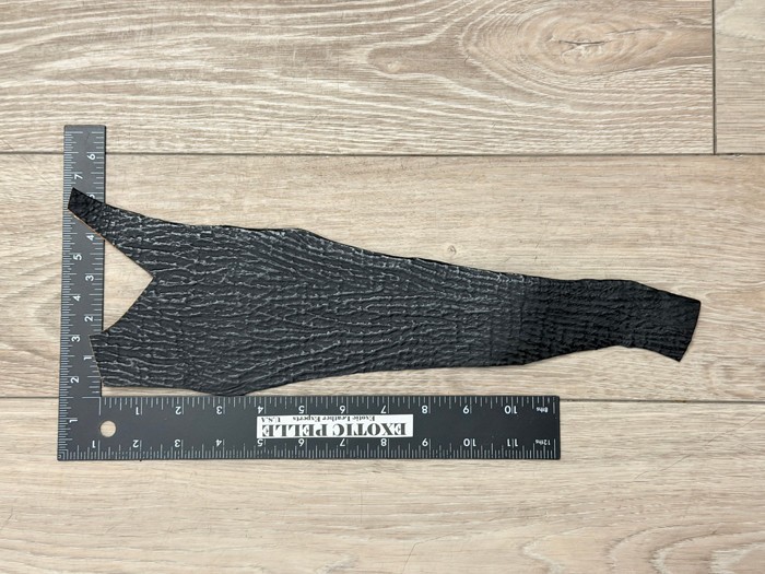 BLACK Genuine Shark Hide Skin Taxidermy Sharkskin Leather exotic Fish ...