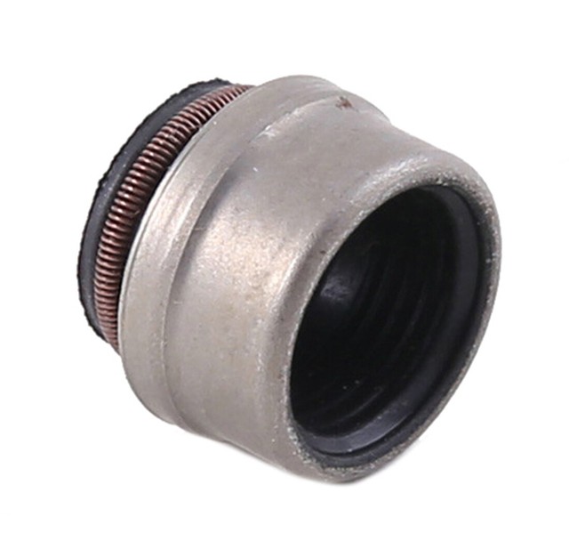 20PCS 6MM Valve Stem Oil Seals Set For VW Golf AUDI TT 036109675A | eBay