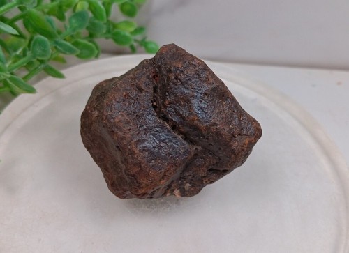 TSESITE rough stone Goethite Limonite iron ore Tsetseite Namibia 4oz 2. ...