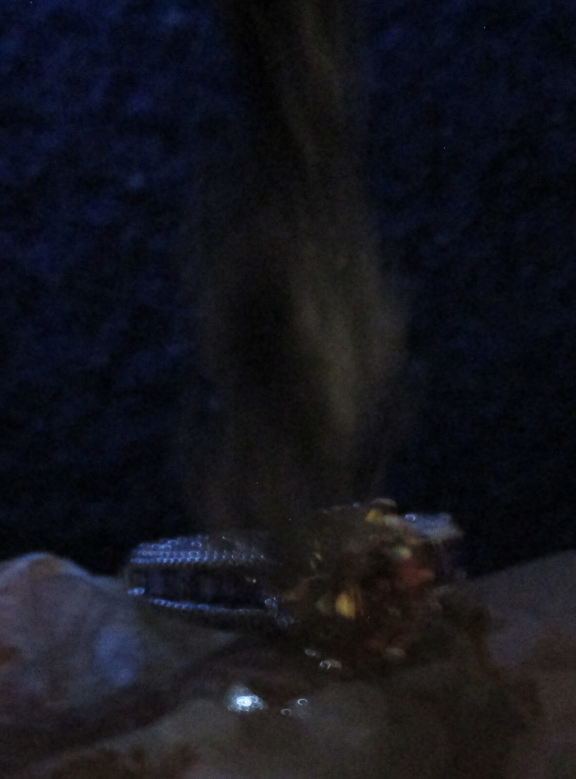 Haunted Amulet witchcraft talisman Djinn wishes granted wish ring kit ...