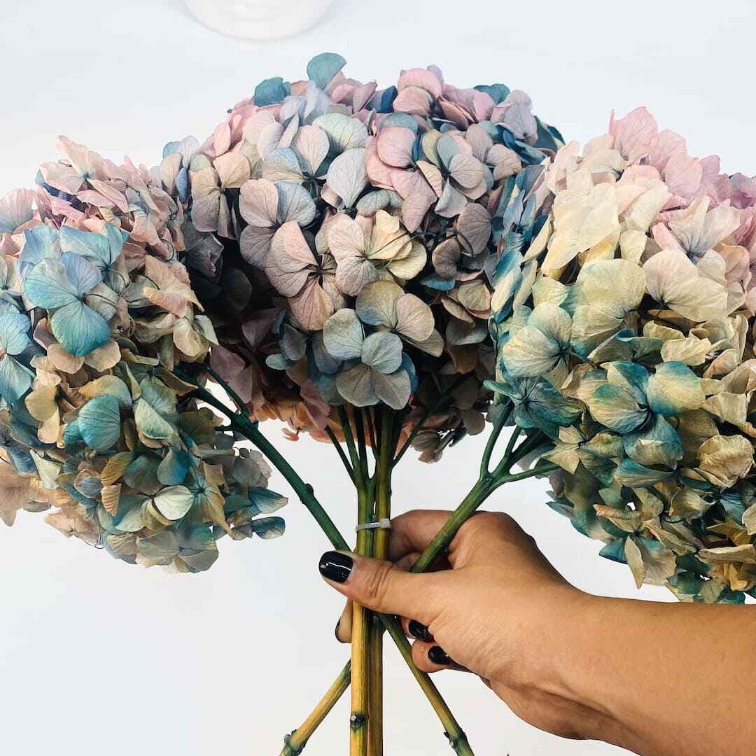 Dried Hydrangea Bouquets