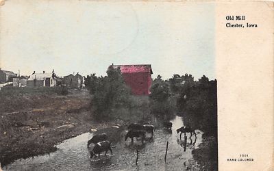 F6/ Chester Iowa Postcard c1910 Old Mill Building Cows | eBay
