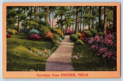Fischer Texas TX Postcard Greetings Path Walk Trees Scenic View c1940's ...