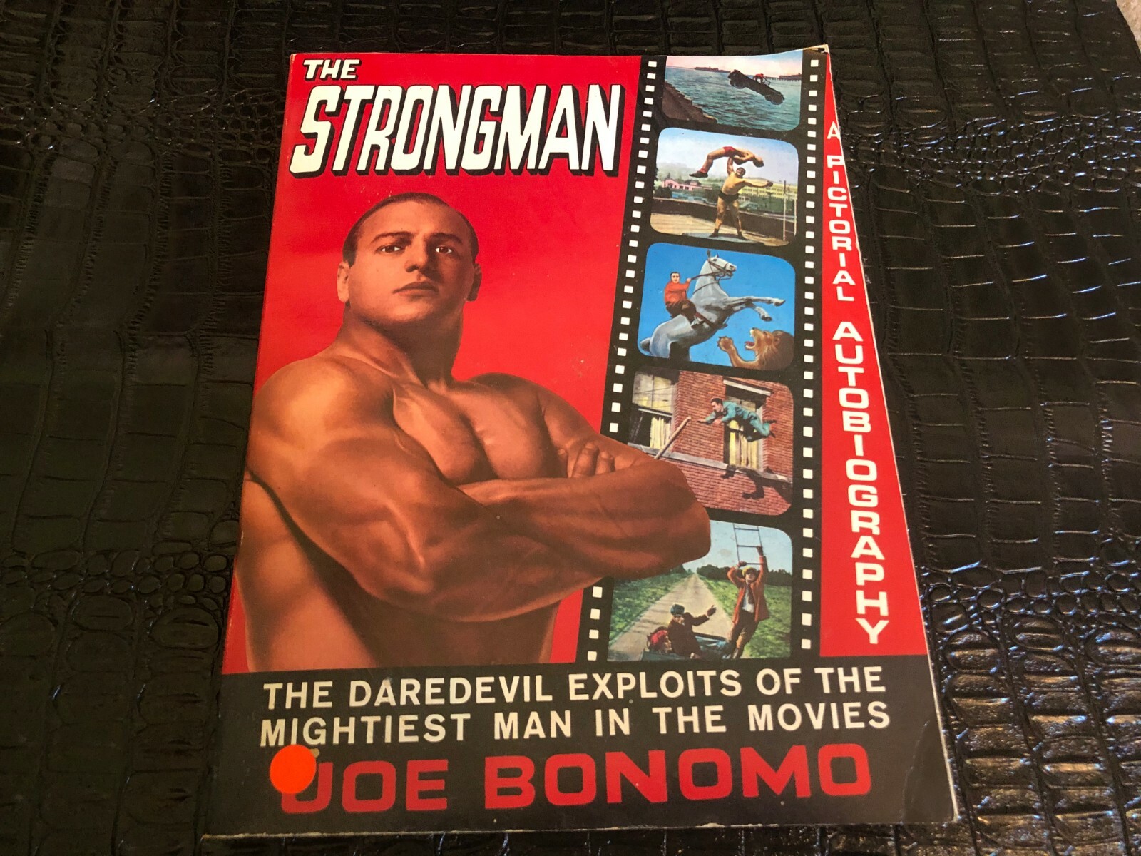 1968 Strongman The Daredevil Exploits of Joe Bonomo Pictorial ...