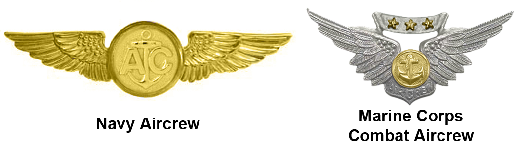 MINI AIRCREWMAN WING US NAVAL AIR WARFARE PIN US NAVY P3 A6 SH60 P2 F14 ...