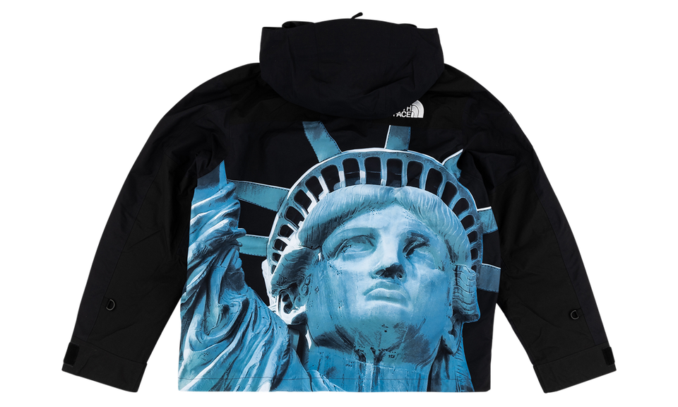 DS New Supreme TNF North Face Mountain Jacket FW 19 Statue of Liberty ...