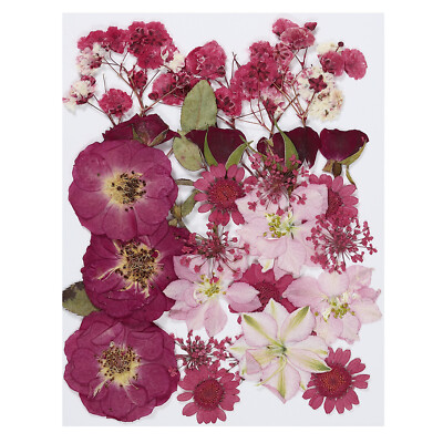 Dried Pressed Flowers Natural Leave Real Pressed Flowers Red Series | eBay