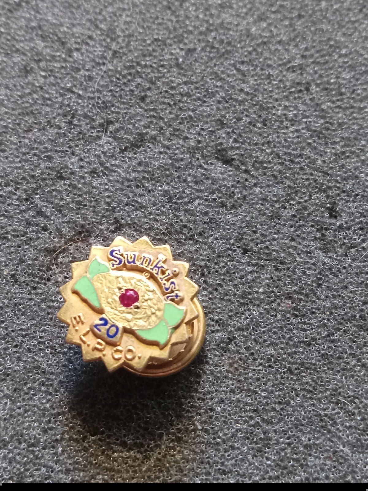 Sunkist 20 Year Service Award Pin | eBay