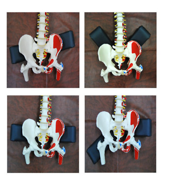 Leather SOT Style Chiropractic Pelvic Blocks Body Posture Correction ...