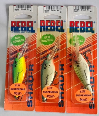 Rebel - Rebel Deep Diving