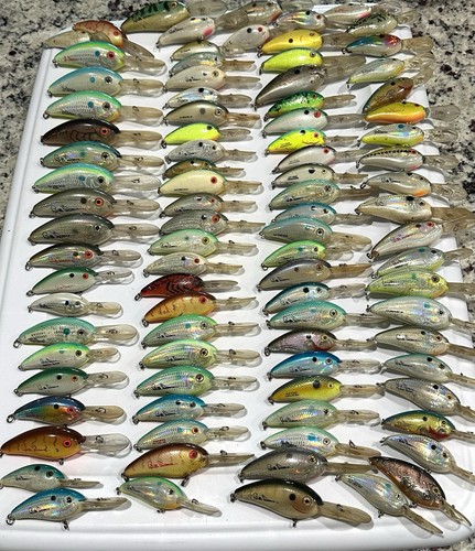 LARGE LOT Of 90 Misc. Bill Dance Fat Free Shad Crankbait Fishing Lure ...