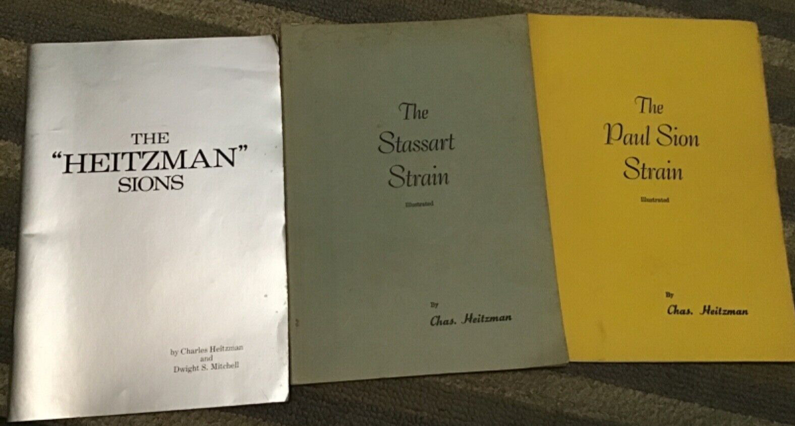 The Stassart Strain~Chas Heitzman Sions&Paul | Grelly USA