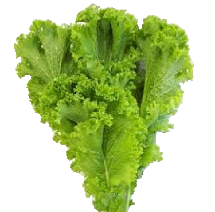 15 Curly Tsunga Mustard Greens Southern Giant Vegetable seeds. - Edible ...