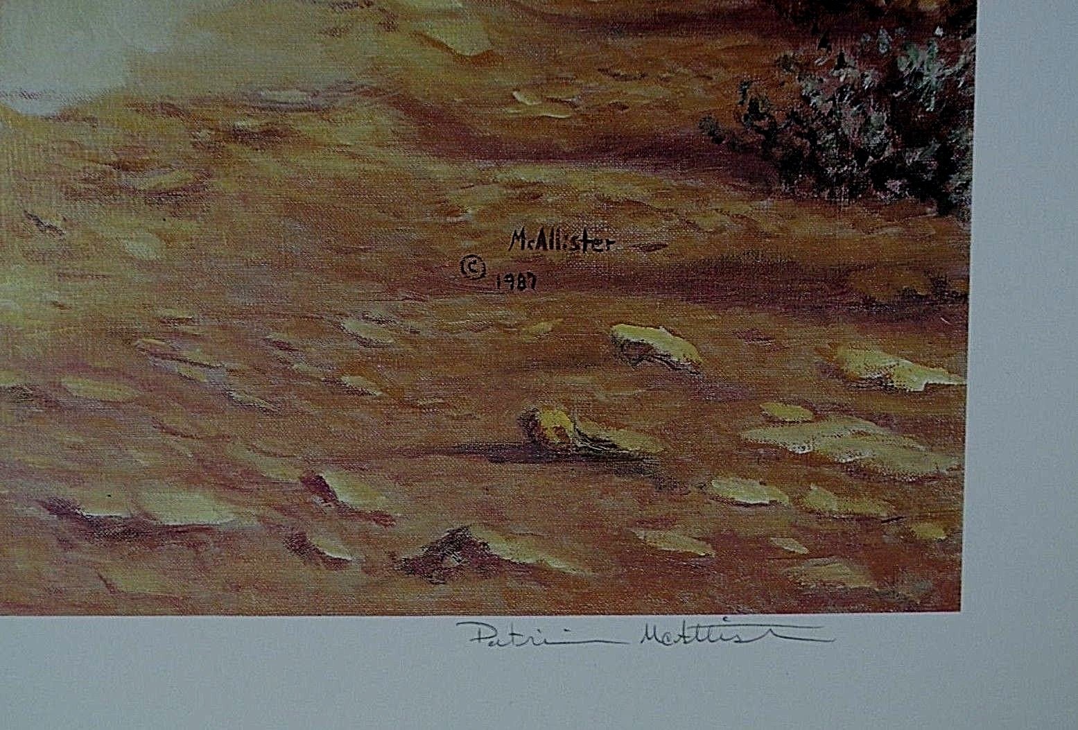 PAT McALLISTER THIS IS MY LAND NATIVE AMERICAN ART PRINT LE. 249/500 ...