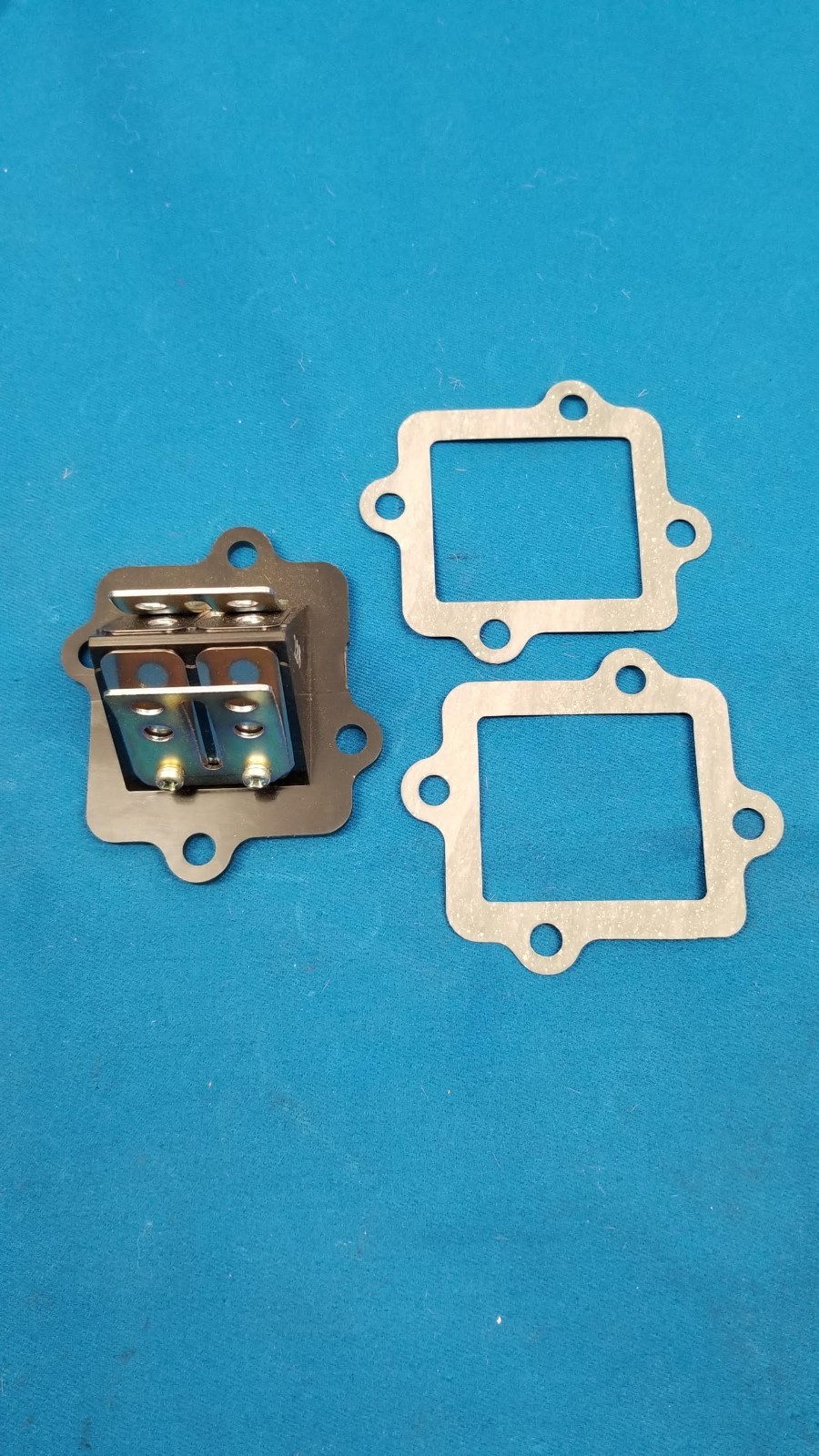 OEM High Performance Reed Cage Kasea 50 90 Skyhawk Jehm Blazer 50cc ...
