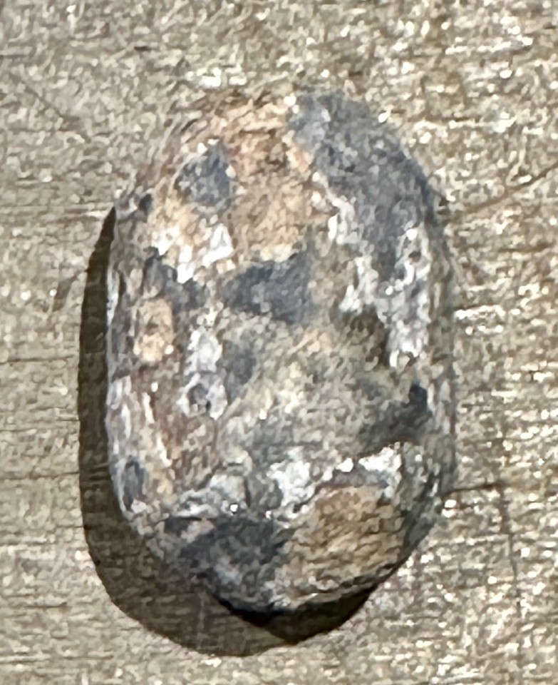 .58 caliber Confederate "slug ball" bullet. Recovered from blockade ...