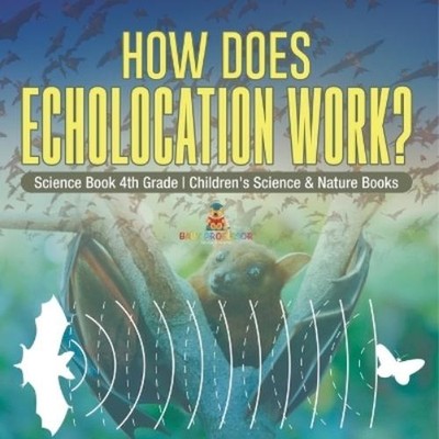 Baby Professor How Does Echolocation Work? Science Boo (Taschenbuch ...