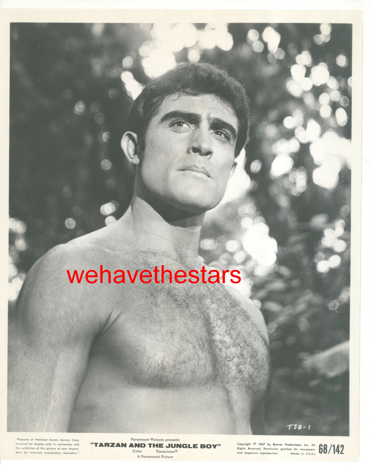 VINTAGE Mike Henry BEEFCAKE MUSCLE HAIRY CHEST '68 TARZAN Publicity ...
