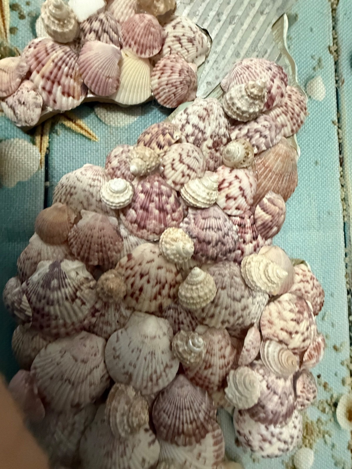 Florida Living Seahorse Decor 18" height x 8 " wide Handmade Star Sea ...