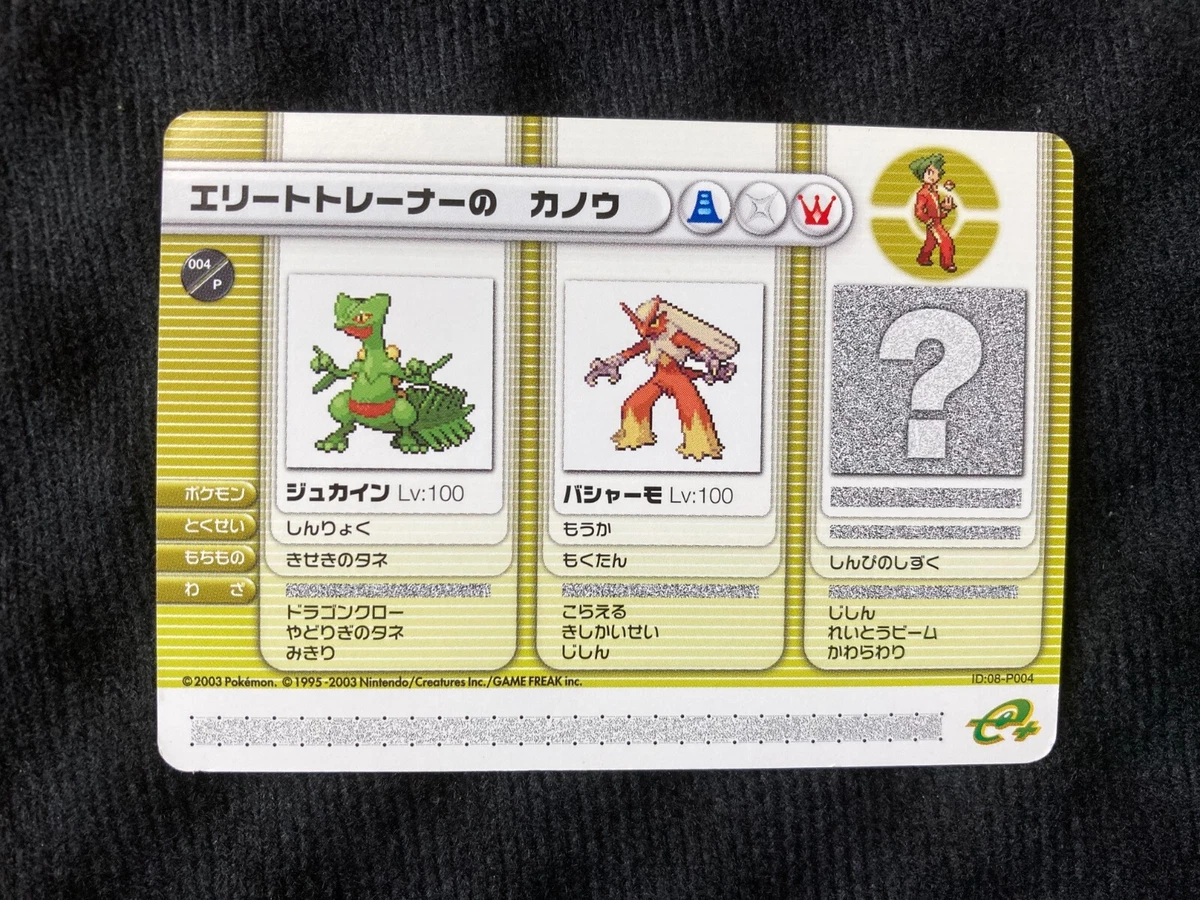 Pokemon Ruby Trainer