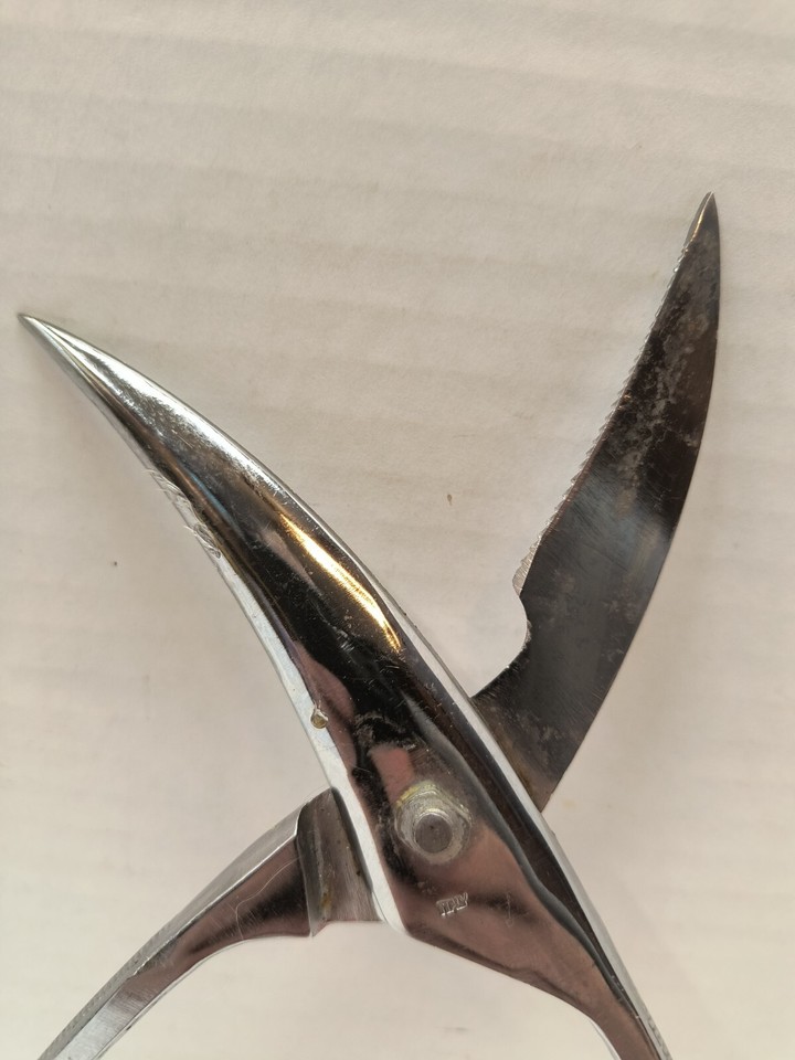 Altest Poultry Shears High Quality Kitchen Utensil Made In Italy | eBay