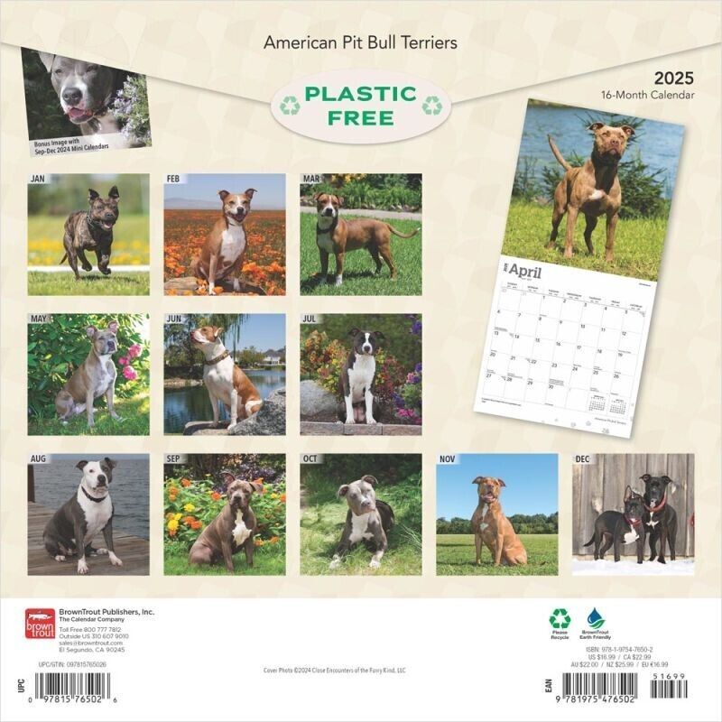 Browntrout American Pit Bull Terriers 2025 12 x 12 Wall Calendar w | eBay