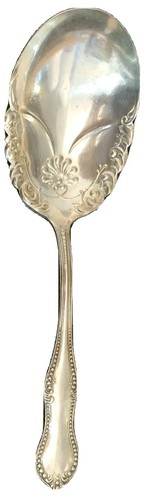 1877 Niagara Falls Silver Co. Ornate Serving Spoon 8.5" | eBay