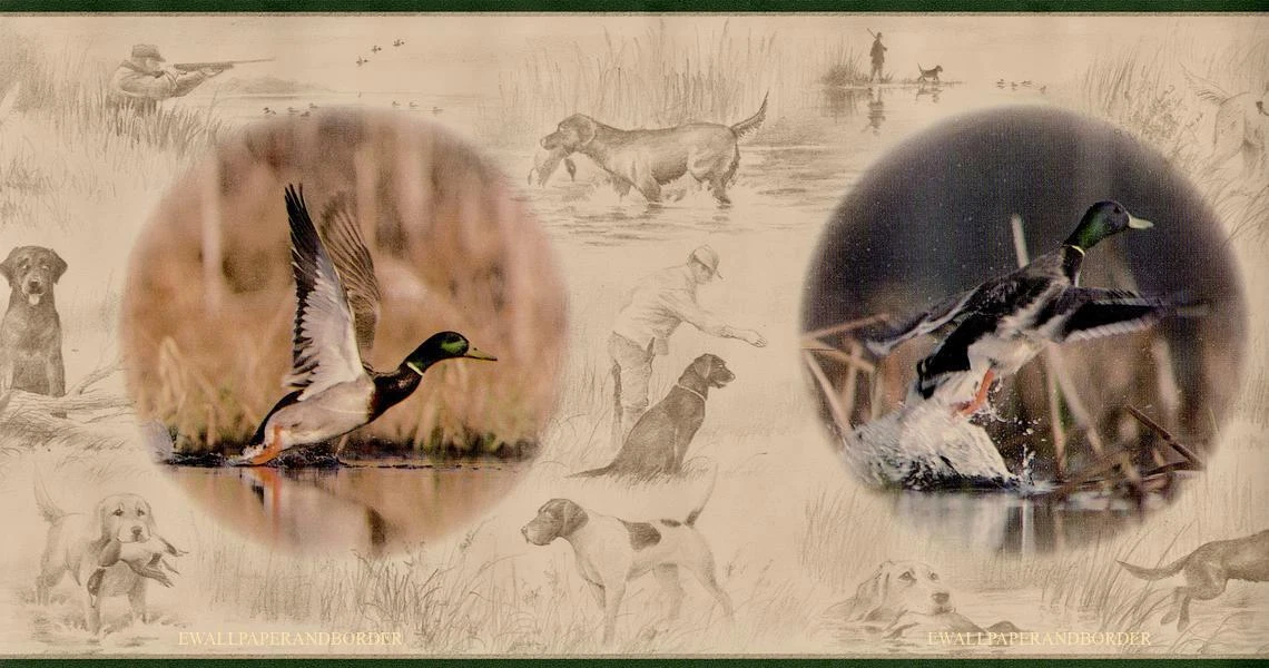 Mallard Duck Hunting Wallpaper