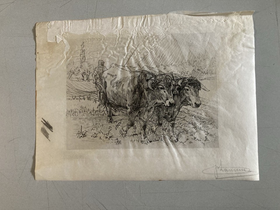 Beautiful Engraving 19th Century On Real Vellum Jean Paul Laurens Oxen ...
