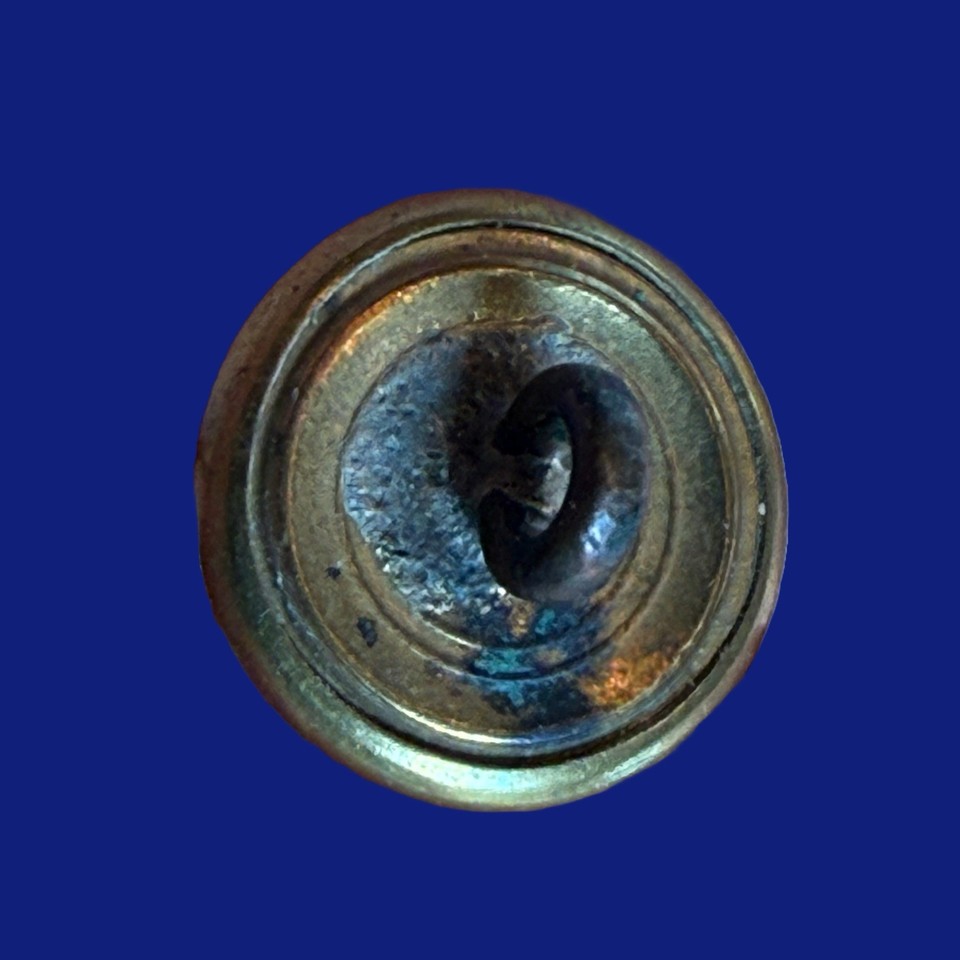 JACKSONIAN ~Antique BUTTON 1830’s ~ 7 pt STAR in 7 segmented scalloped ...